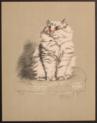 ISABELLA, SILVER TABBY Antique original vintage cat print 1941 | eBay