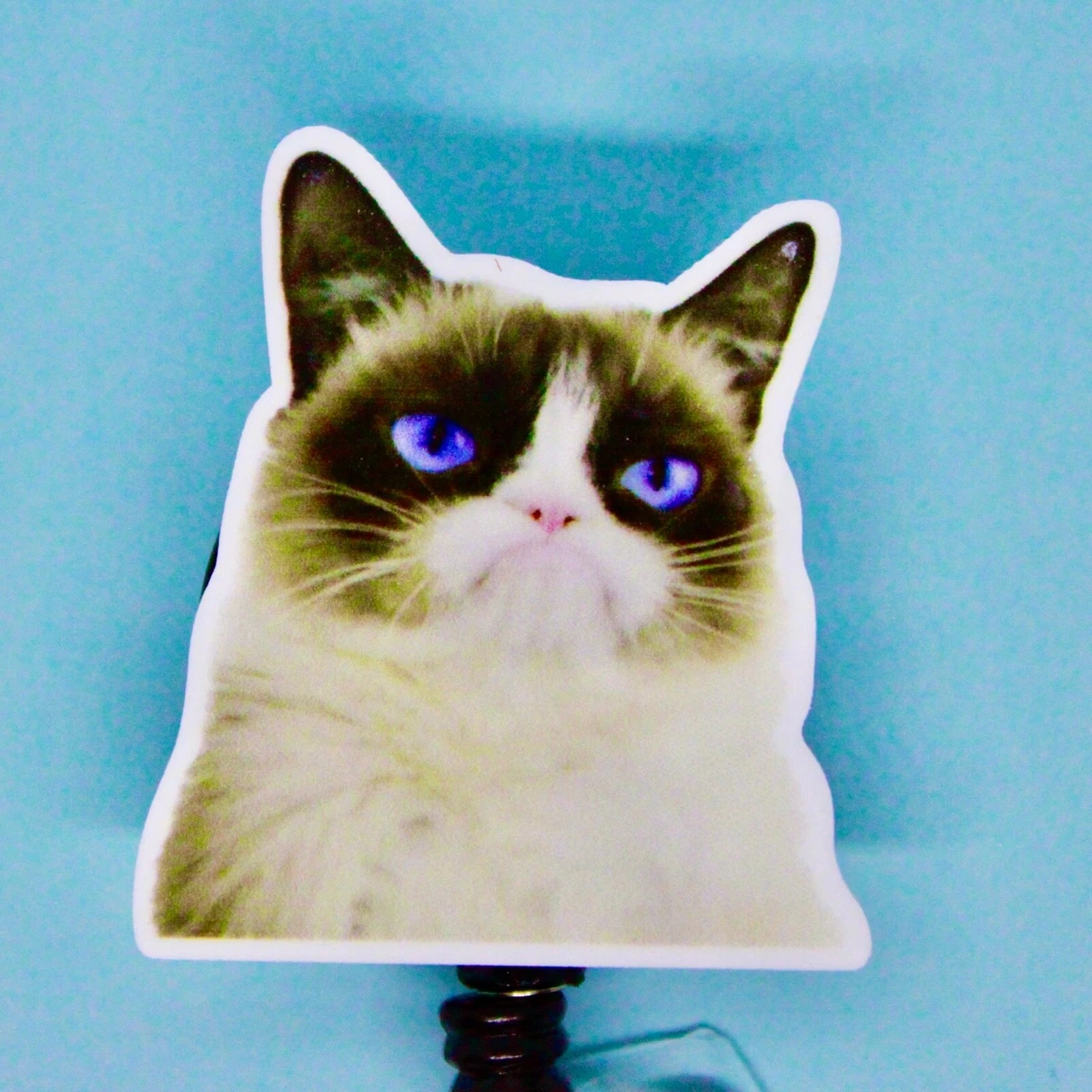 Grumpy Cat Dressed Like A Doctor