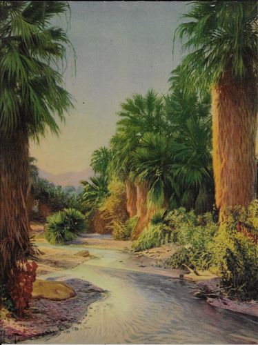 Herset, Palm Trees, Stream, Mt's, 10"x7.5" Print Vintage | eBay