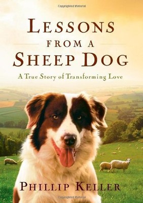 Lessons from a Sheep Dog - Keller, Phillip | eBay.de