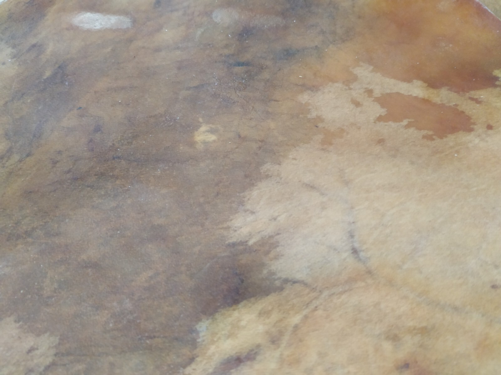 Drum Head, Horse Rawhide Skin Leather, Shamanic, Djembe, Bongo, Conga ...