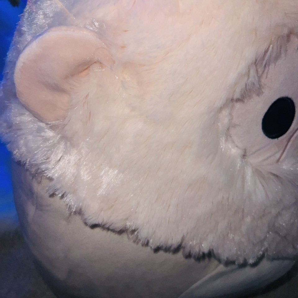 Squishmallows 16” Monkey OCTAVE Capuchin Snow Monkey SquishMallow NWT ...