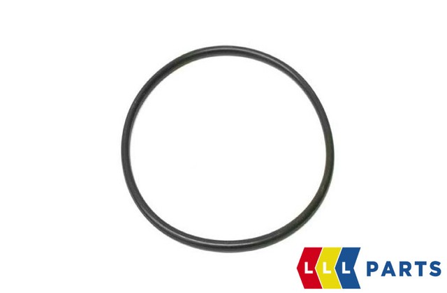 BMW Genuine F and G Series Fuel Tank Pump Gasket O-ring Seal ...