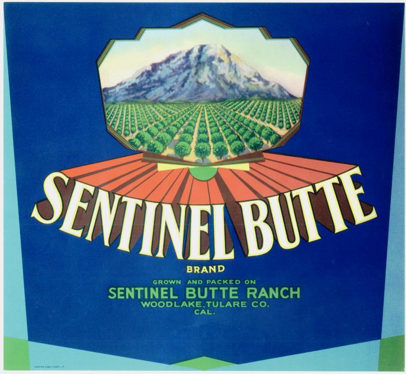 *Original* SENTINEL BUTTE Ranch Woodlake TULARE Orange Crate Label NOT ...