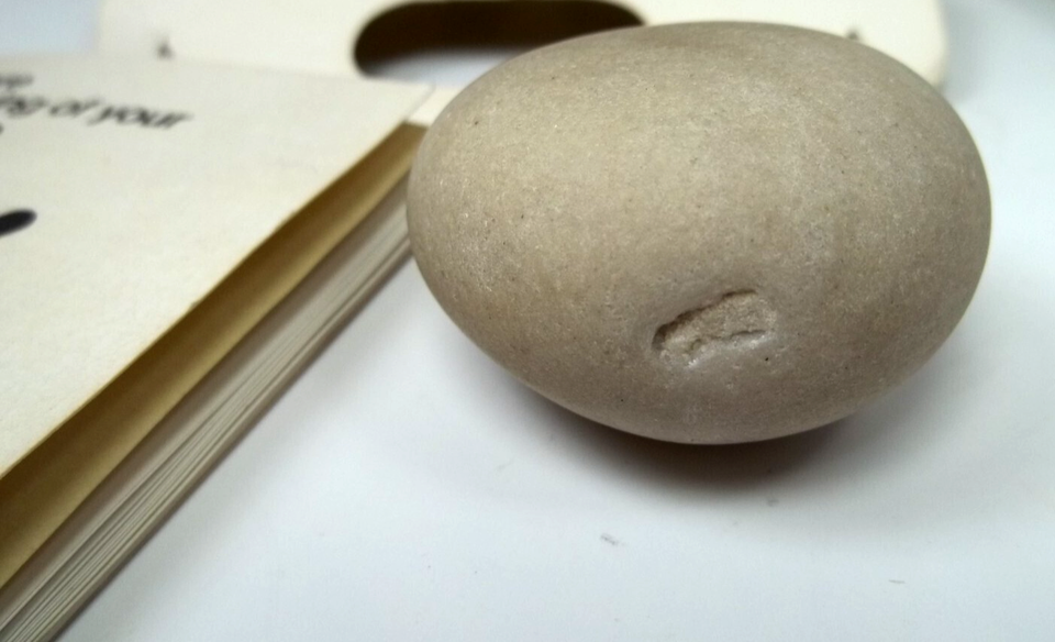 Vintage Original Pet Rock 1975 Rock Bottom Productions MCM | eBay