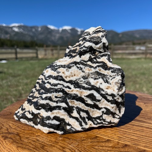 Natural Raw Zebra Stone Specimen Lapidary Healing Gemstone 2lbs 8.8oz ...