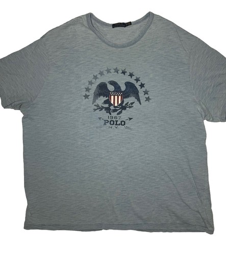 Polo Ralph Lauren Men's Light Blue Eagle American Flag Graphic T Shirt ...