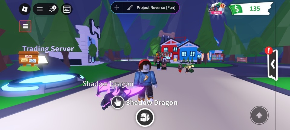 Adopt Me! EXTREMELY Rare Pets Account | eBay UK