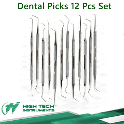 12pc STAINLESS STEEL Dental PICK SET, Tools Pick Scaler Teeth Cleaning ...