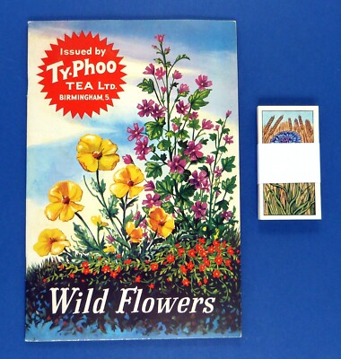 Typhoo Tea Cards 1961 Wild Flowers Full Set ( loose ) + Empty Album ...