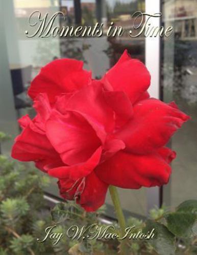 Moments in Time by Jay W. MacIntosh (2013, Trade Paperback) for sale ...