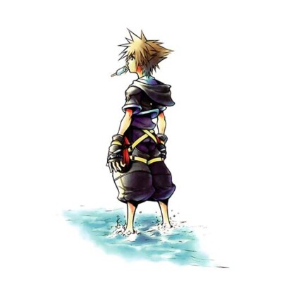 Kingdom Hearts 1 2 3 I II III Sora Poster High Quality 8x10 8.5x11 ...