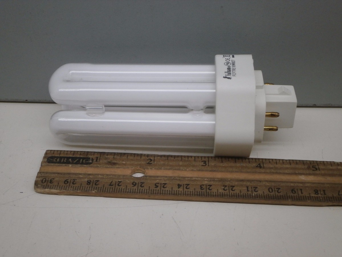 2×4 Fluorescent Lights | Shelly Lighting