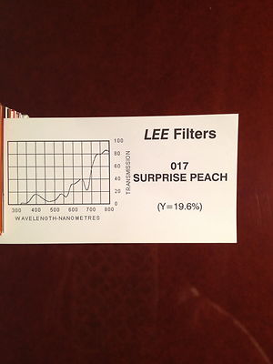Lee Filters 017 Surprise Peach Lighting Gel Sheet 21" x 24" | eBay