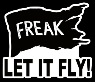Funny "FREAK FLAG - LET IT FLY" goth girl DECAL sticker let your emo ...
