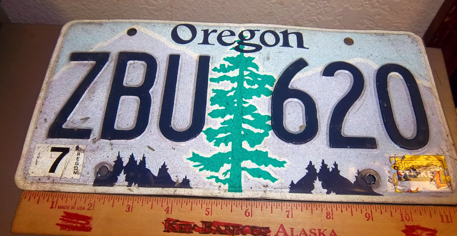 OREGON license plate, 2010, Pine tree & mountains, ZBU 620, Beautiful ...