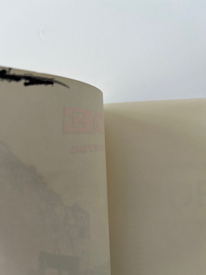 Sade: A Sudden Abyss by Annie Le Brun, City Light Books 9780872862500 ...