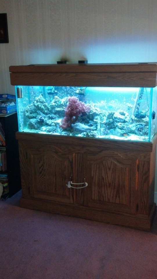 PLANS TO BUILD Your Own STAND For a 29, 55, 75, 90, or 135 gallon FISH ...