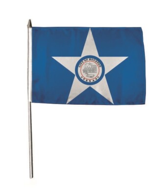 Stockflagge Fahne Flagge Houston Texas 30 x 45 cm | eBay.de