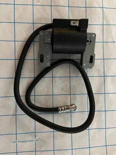 Ignition Coil Replace Briggs & Stratton OEM 595304 795315 799650 715231 ...