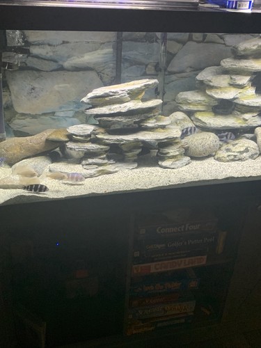 Top Fin PRO200 Multi-Stage Canister Filter for sale online | eBay