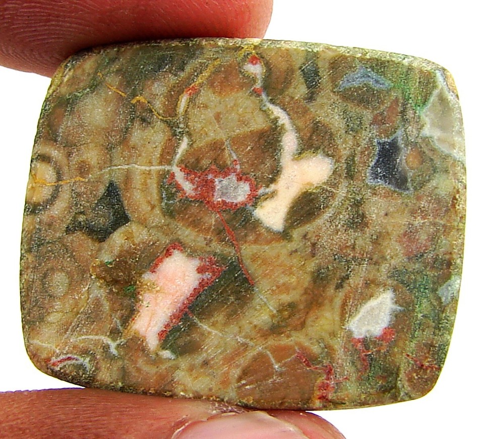 59.00 Ct Natural Rainforest Jasper Rhyolite Gemstone Cabochon Wire Wrap ...