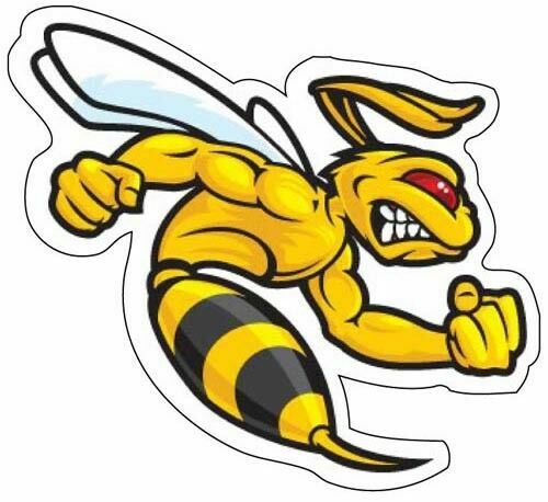 Angry Bee hornet Attack Car Bumper Locker Notebook Wall phone Sticker ...