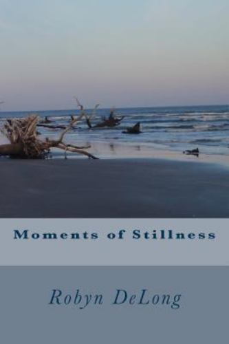 Moments of Stillness by Robyn DeLong (2013, Trade Paperback) for sale ...
