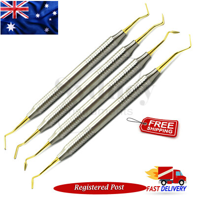 Composite Gold Tip Flat Plastic Restorative Dental Filling Instruments ...