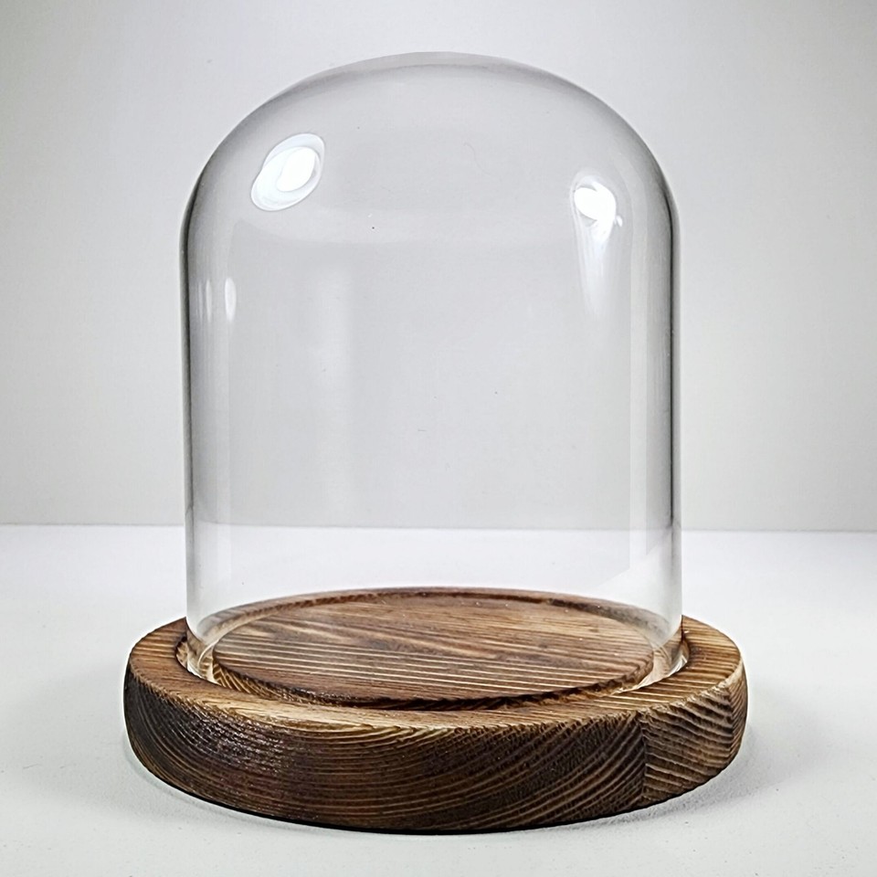Glass Display Dome, Glass and Wood Cloche, Oddities Display Case | eBay