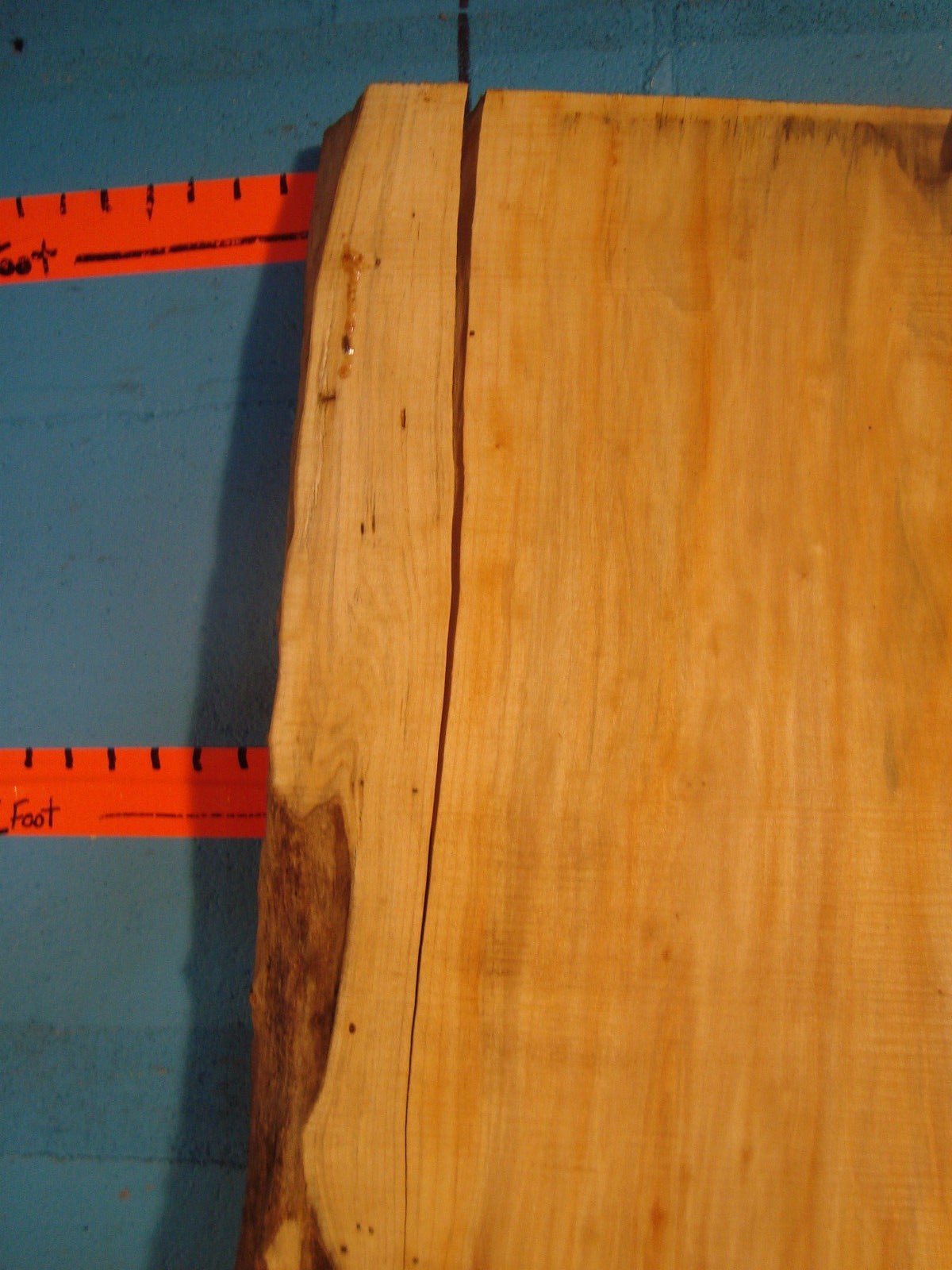 #8315 flaming red box elder live edge slab lumber wood 49 7/8"L 18"W2 5 ...