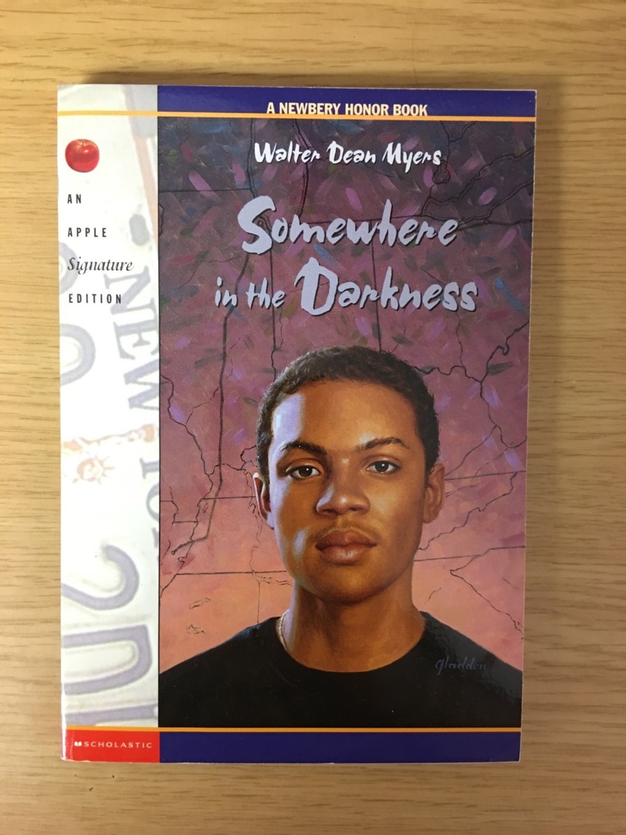 Walter Dean Myers Books Now Is Your Time!: The African American