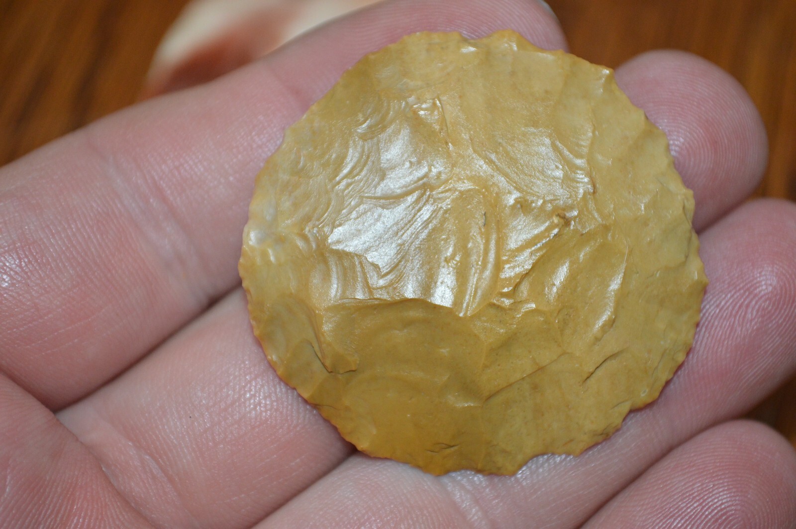 Rare Yellow Crowley's Ridge Archaic Round Scraper Clay Co, Arkansas 1. ...