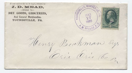 1880 Youngsville PA county/postmaster name fancy star cancel 3ct bn ...