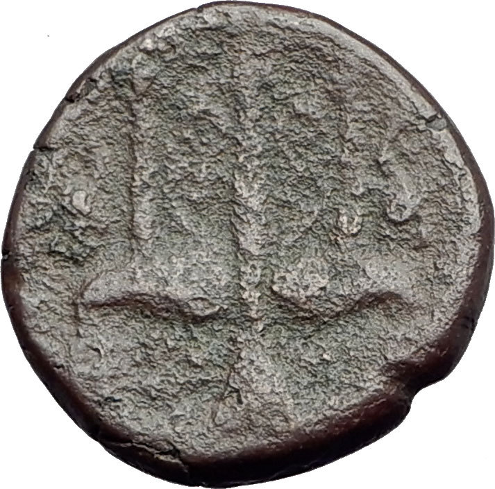 SYRACUSE SICILY King Hieron II 240BC Ancient Greek Coin POSEIDON ...