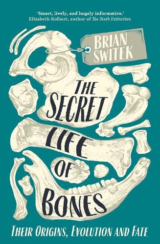 Brian Switek The Secret Life of Bones (Paperback) (UK IMPORT) | eBay