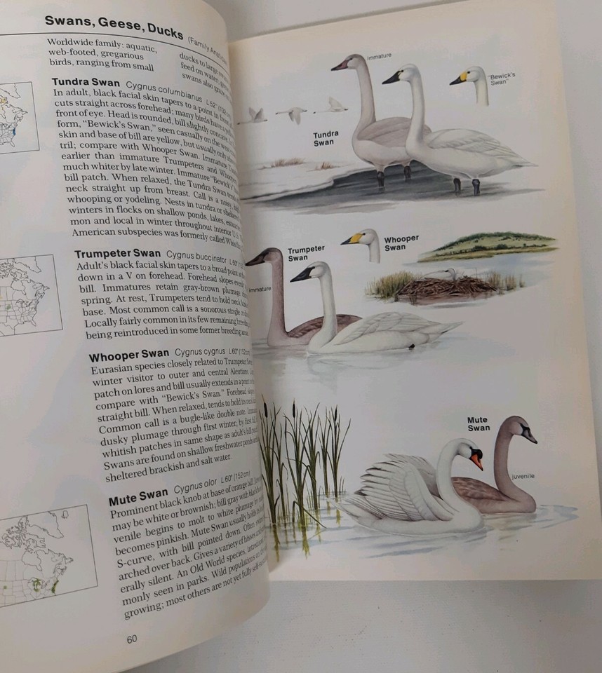 Field Guide Book Birds of North America Color Illustrated National ...