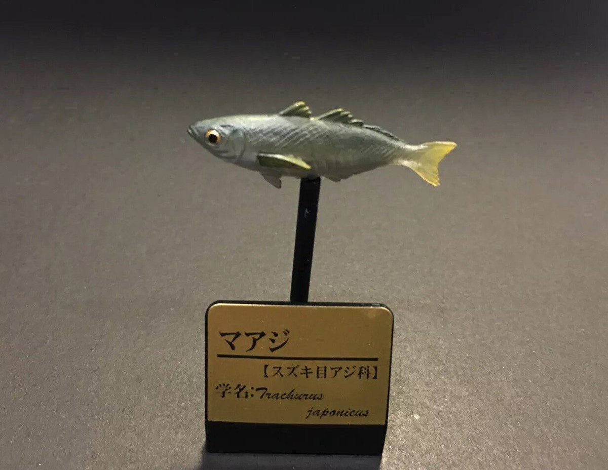 Japanese Jack Mackerel