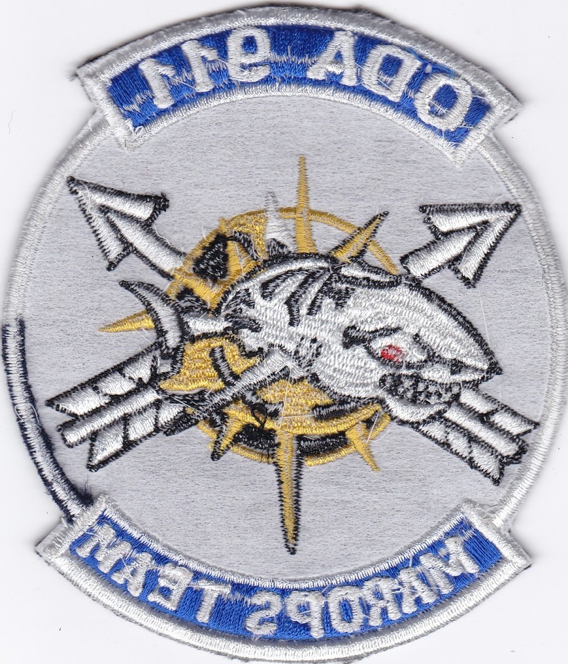 US Army Co A 1st BN 9th Special Forces Group Operational Det-A ODA-911 ...