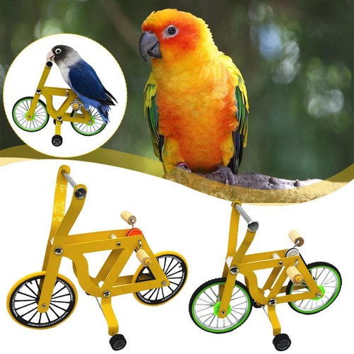 Parrot Intelligence Training Toy Parrot Bike Toy Educational Exercising ...