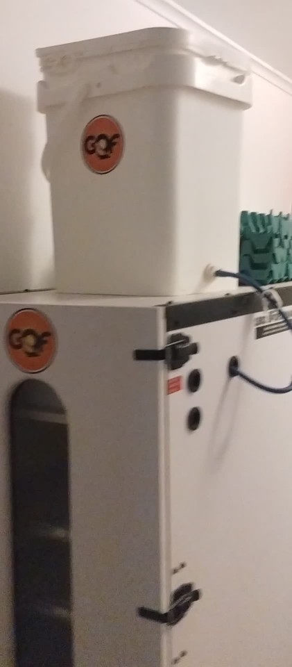 USED GQF 1502 Digital Sportsman Egg Cabinet Incubator With 3030 Water ...