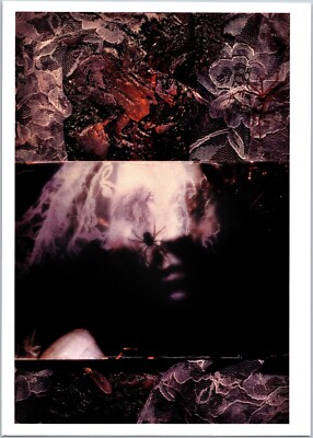 Sandman #15 Cover Art Comic Poster Pin-Up Original Dave McKean Neil ...