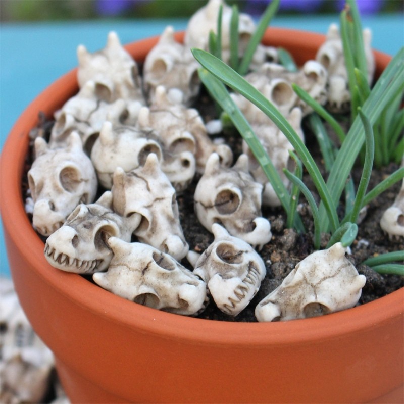 Gothic Skull Plant Pot Embellishments Craft Supplies for Event Styling ...