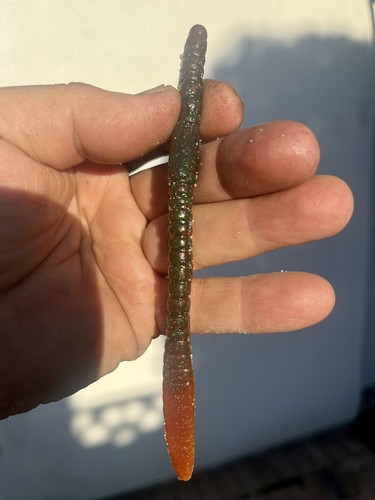 50 Hand Poured 6 inch Don Iovino Style Spade Tail Plastic Worms. | eBay