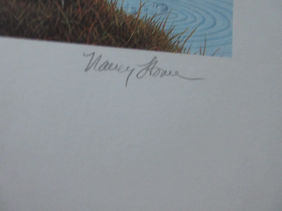 RW58 1991 - 92 Federal Duck Stamp Print by NANCY HOWE | eBay