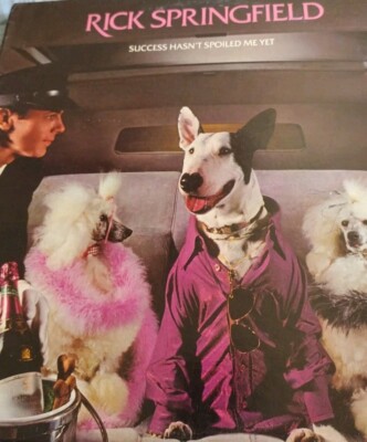 Rick Springfield “Success Hasn’t Spoiled Me Yet” 1982 Vinyl LP | eBay