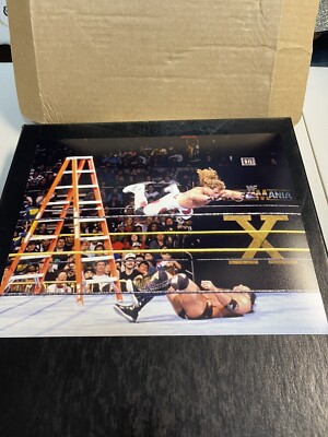 WWE WWF NXT Shawn Michaels unsigned 8x10 Photo Solo Pose W/Razor Ramon ...