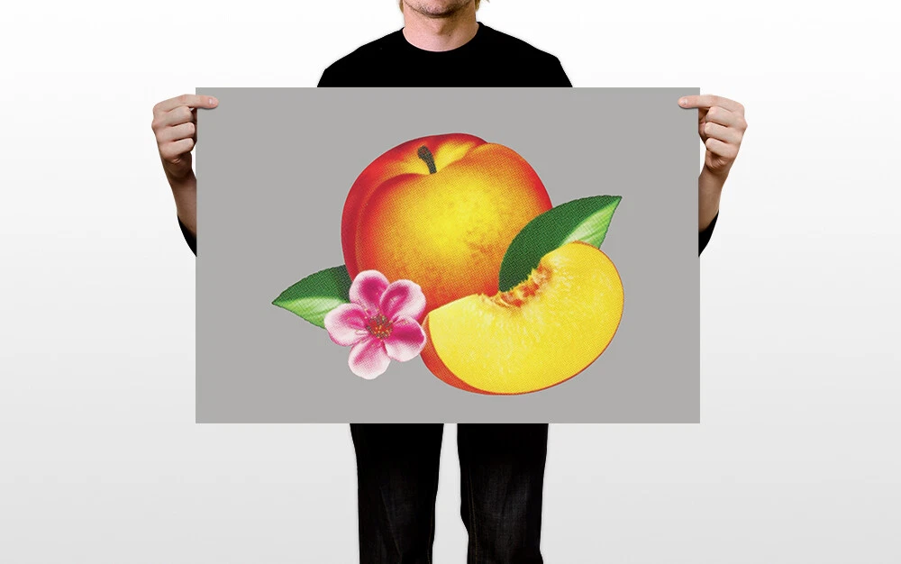 Phoenix Band Bankrupt