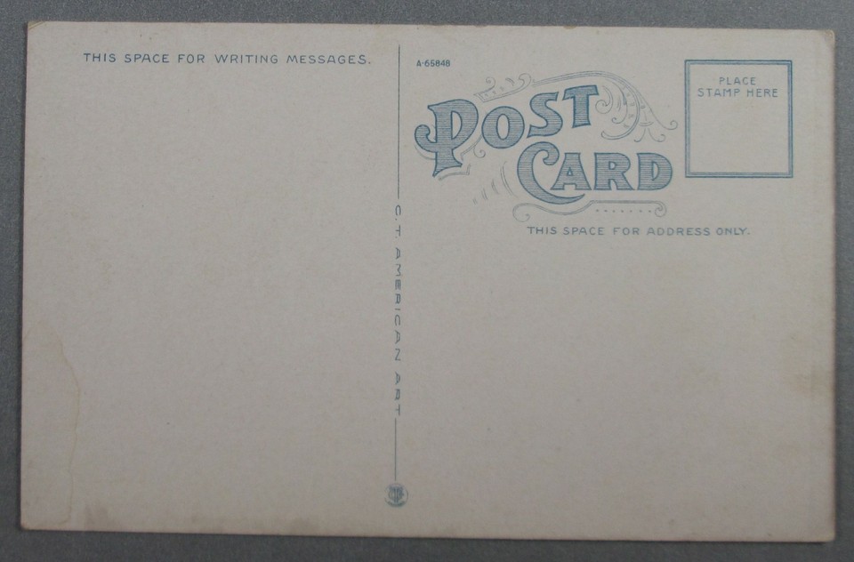 Hotel Pines, Pine Bluff AR Arkansas Postcard (#8402) | eBay
