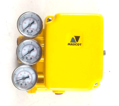 Mascot Pneumatic Valve Positioner With Gague Suitable For Linear | eBay